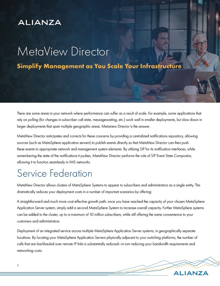 MetaView Director Datasheet