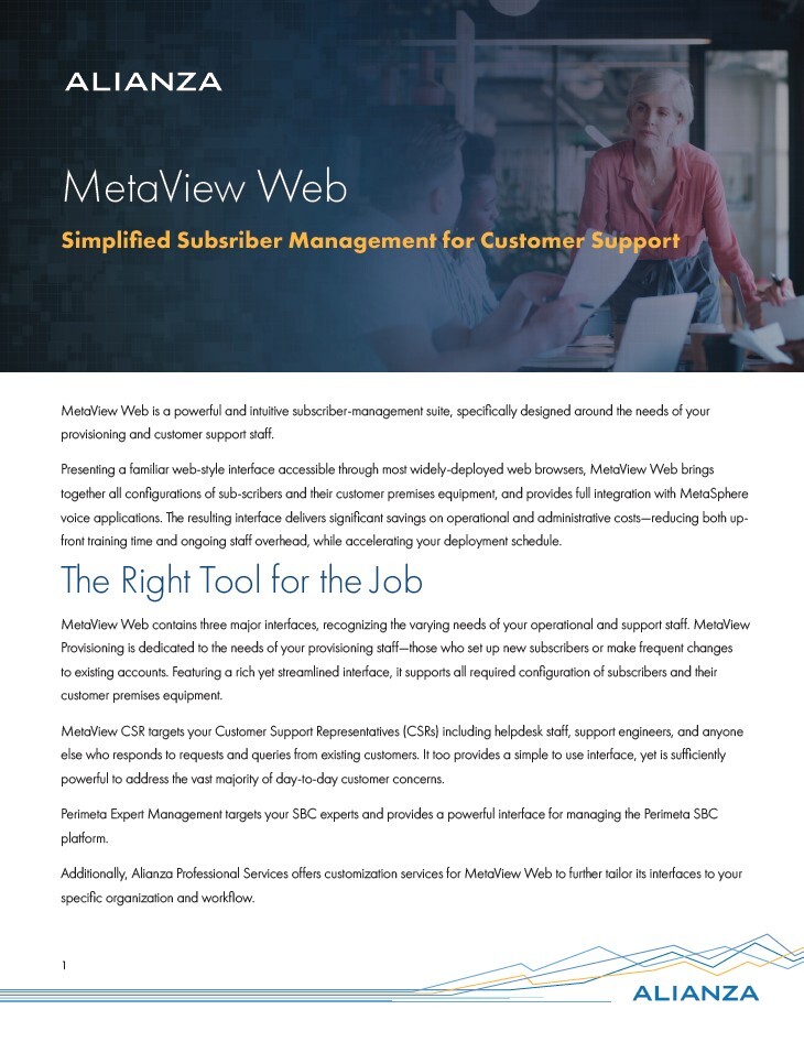 MetaView Web Datasheet